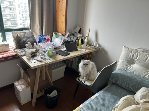 折腾笔记[25]-使用VGGT进行基于图像的室内建图 - qsBye - 博客园