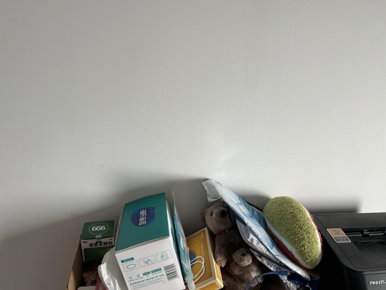 折腾笔记[25]-使用VGGT进行基于图像的室内建图 - qsBye - 博客园