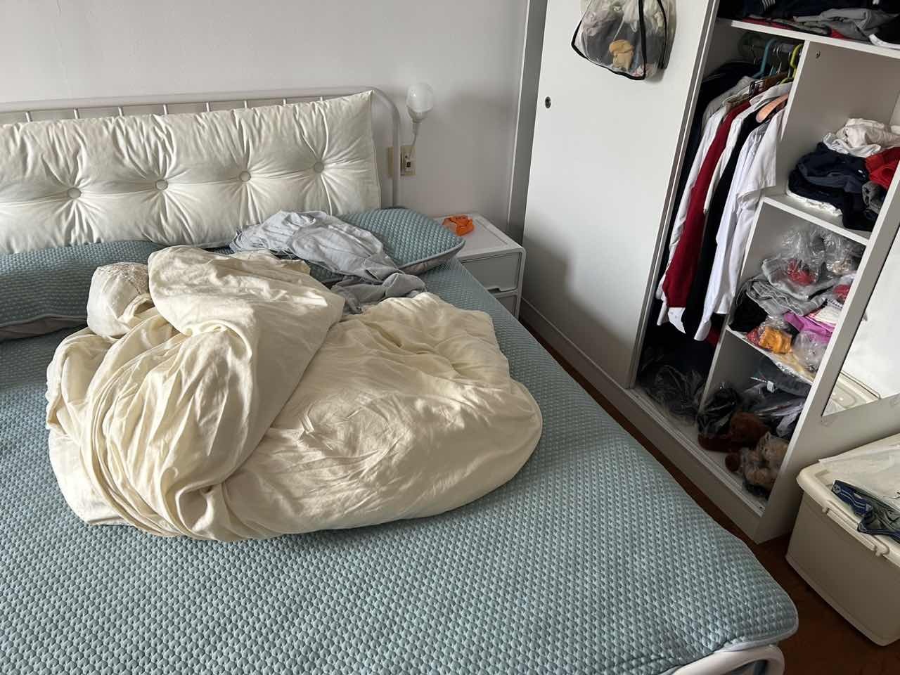 折腾笔记[25]-使用VGGT进行基于图像的室内建图 - qsBye - 博客园