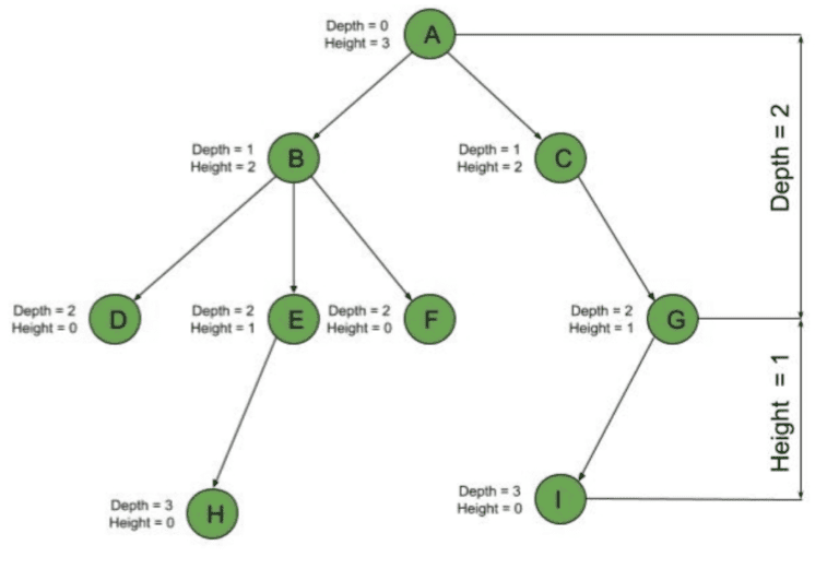 Difference Between Tree Depth and Height - HelloMarsMan - 博客园
