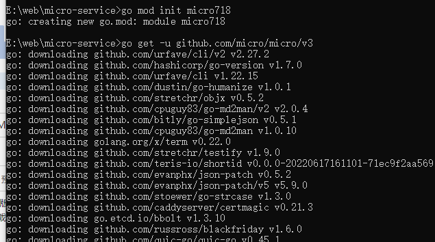 golang Micro搭建及使用（一） - 北京小小鸟 - 博客园