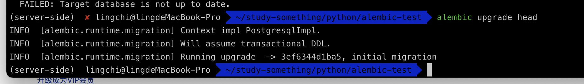 实践操作alembic数据库迁移增删改查以及协同开发 - zpchcbd - 博客园