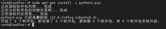 Ubuntu22.04 LTS安装Odoo17 心路历程史【呕心沥血之作】 - Link-Man - 博客园