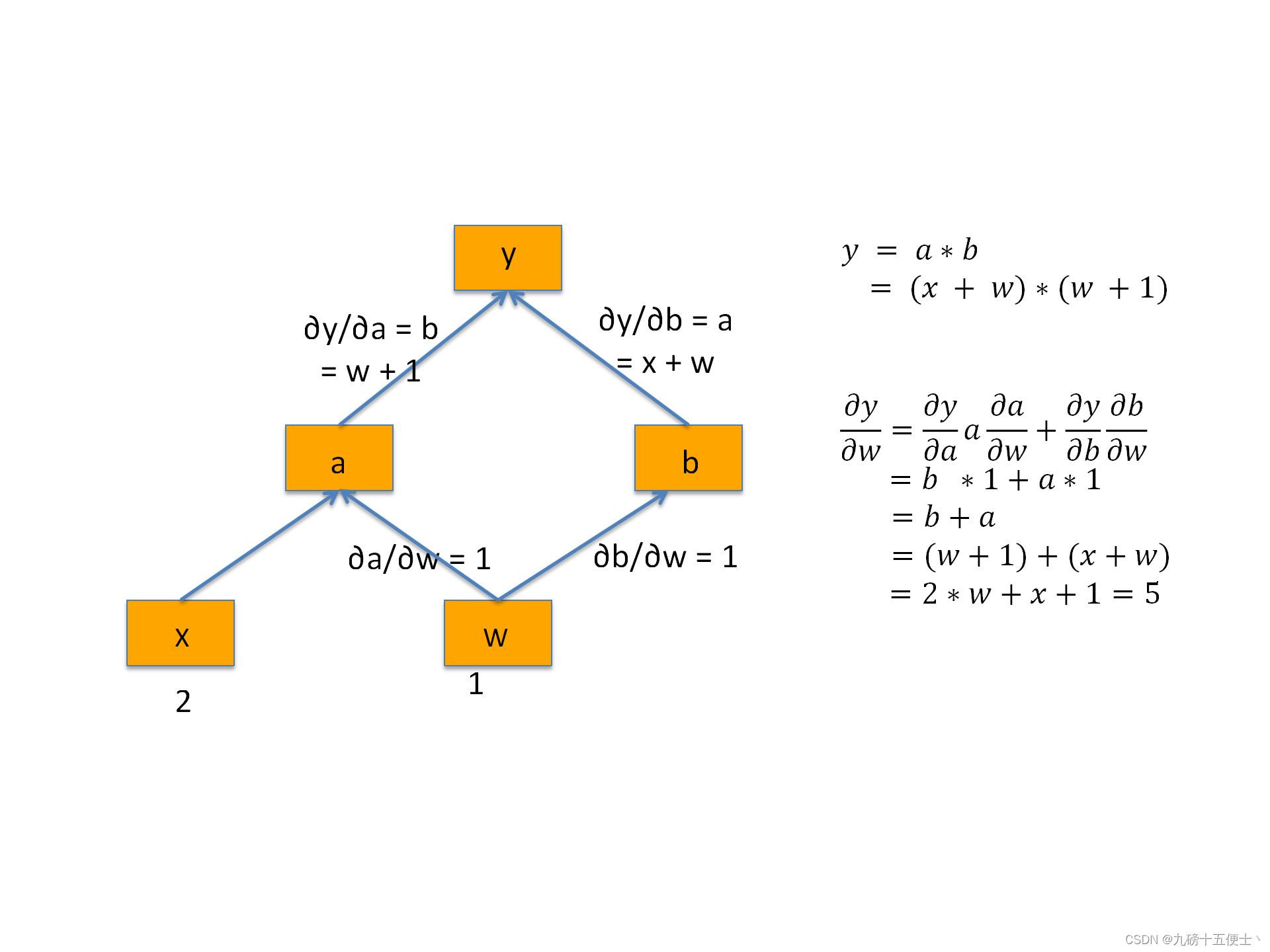 PyTorch中的梯度计算图（Computational Graph）的原理 - C_noized - 博客园