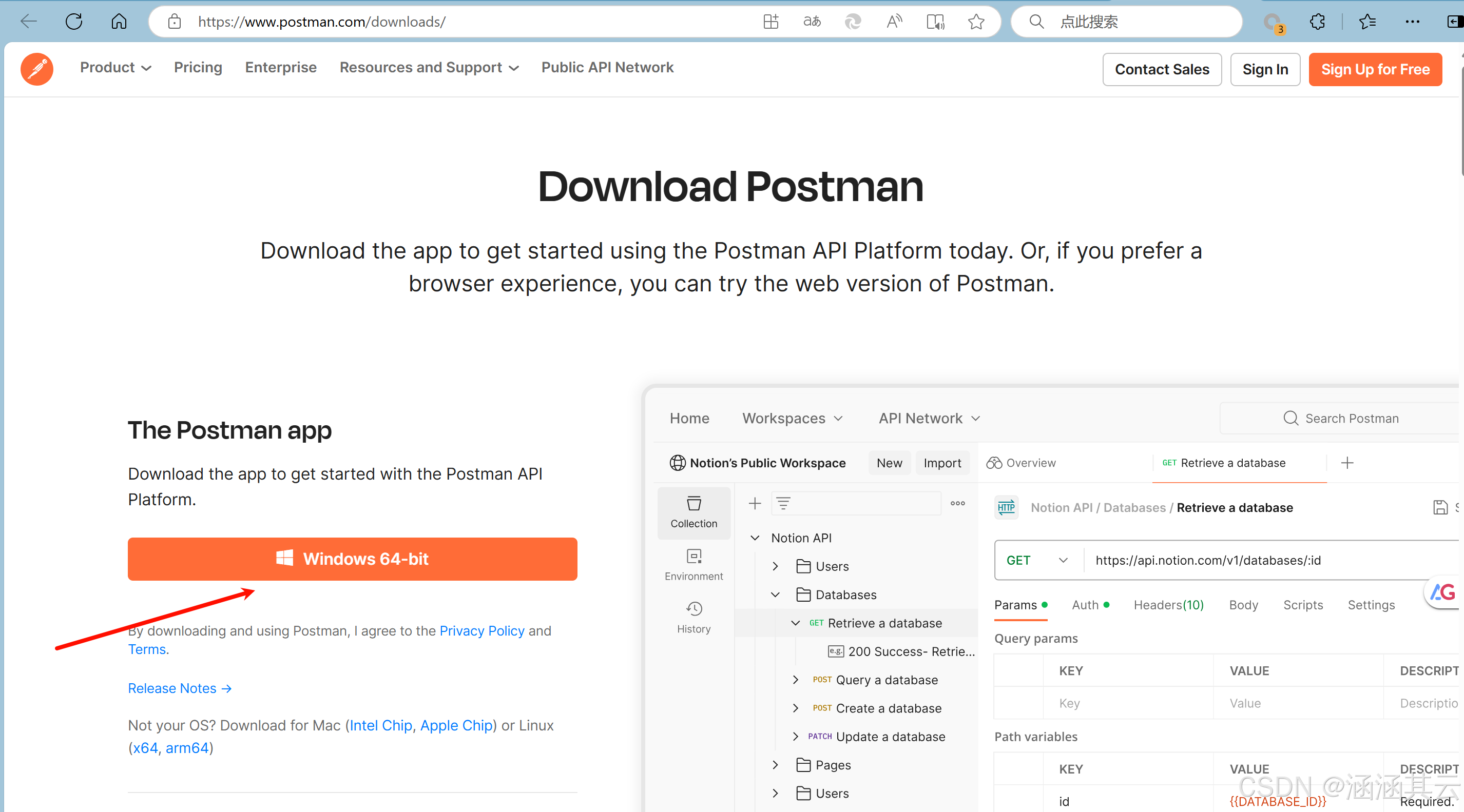 Postman下载安装（Windows） - 测试小萌新一枚 - 博客园