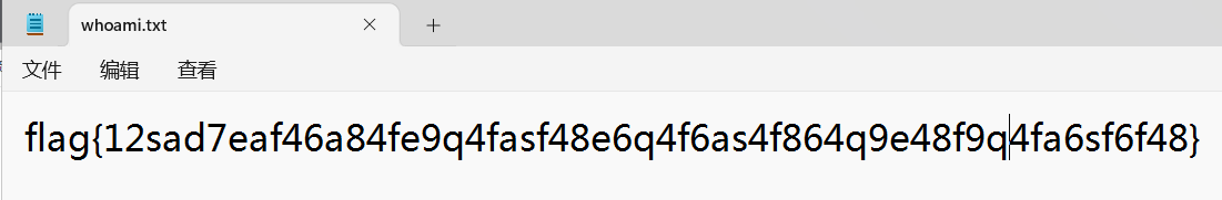 【攻防世界】miscmisc - wyuu101 - 博客园