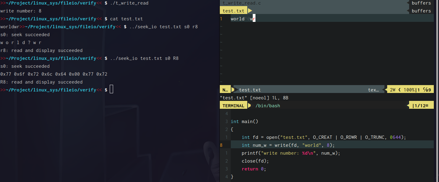 进一步认识系统调用write()和read() - Dylaris - 博客园