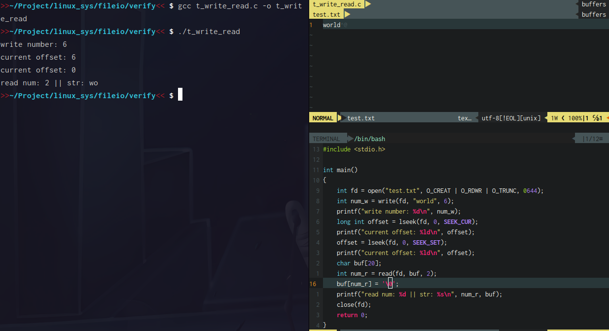 进一步认识系统调用write()和read() - Dylaris - 博客园
