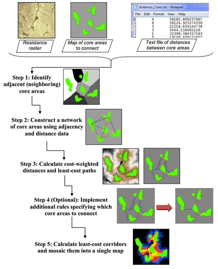 Linkage Pathways Tool of the Linkage Mapper Toolbox——part2（完结） - 单木夕 - 博客园