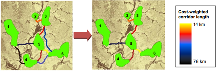 Linkage Pathways Tool of the Linkage Mapper Toolbox——part2（完结） - 单木夕 - 博客园