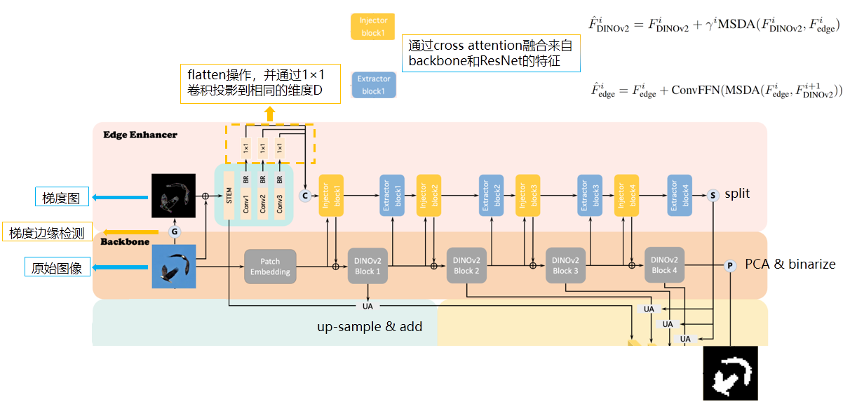 【论文阅读 AAAI2025】FOCUS: Towards Universal Foreground Segmentation ...