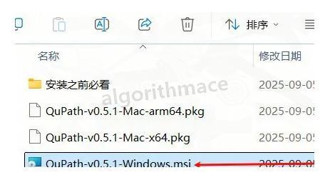 2025年最新QuPath下载安装教程：生物图像分析必备工具（详细图解） - algorithmace - 博客园