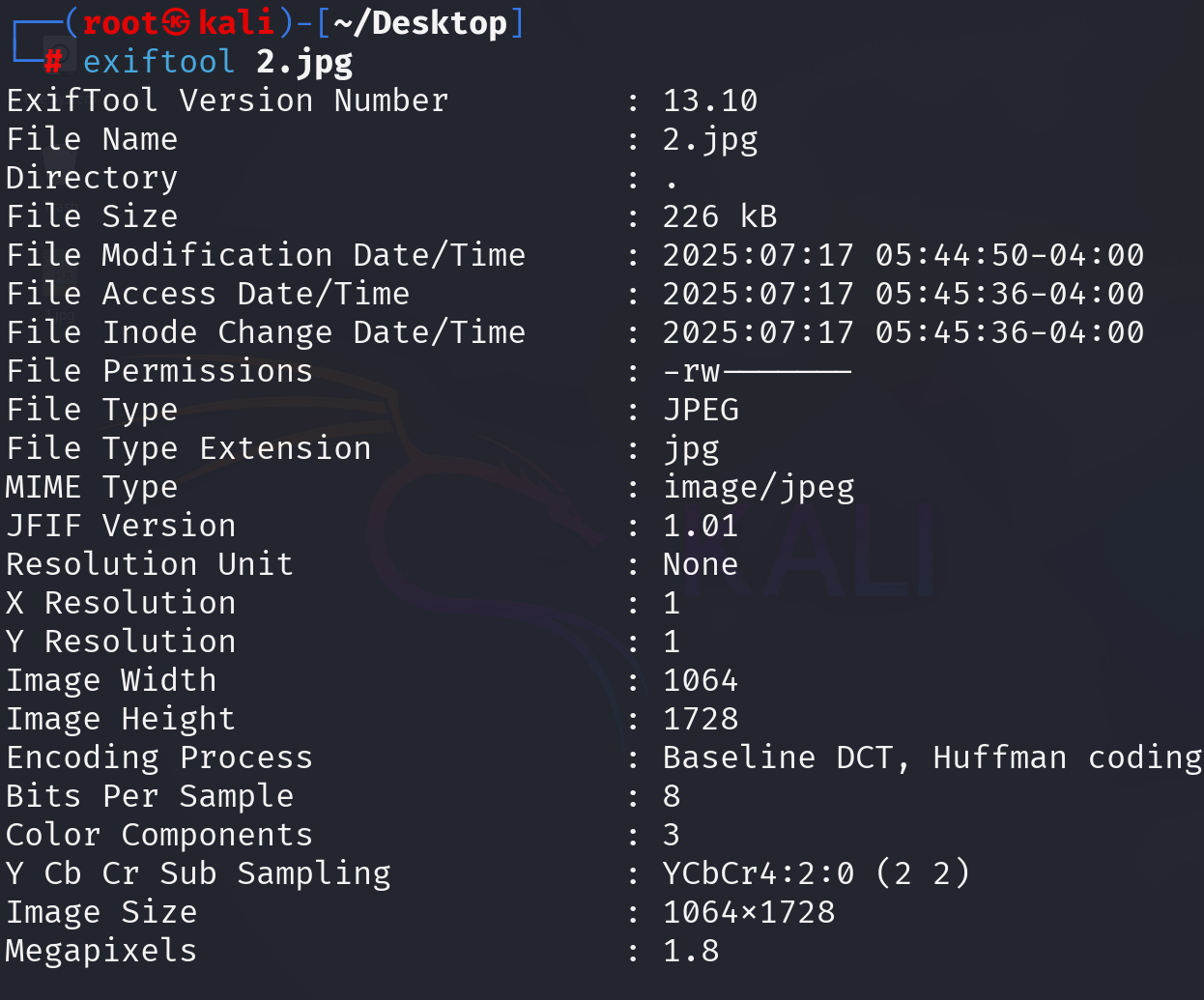 浅浅学习一下kali中的exiftool工具 - 鱼羊小生 - 博客园