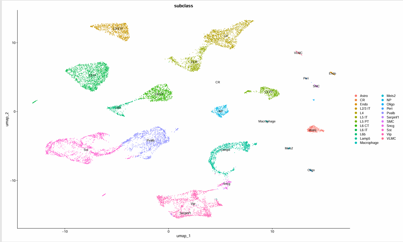 Seurat分析空间数据集（10x Visium 非HD） - Nlkjuh - 博客园