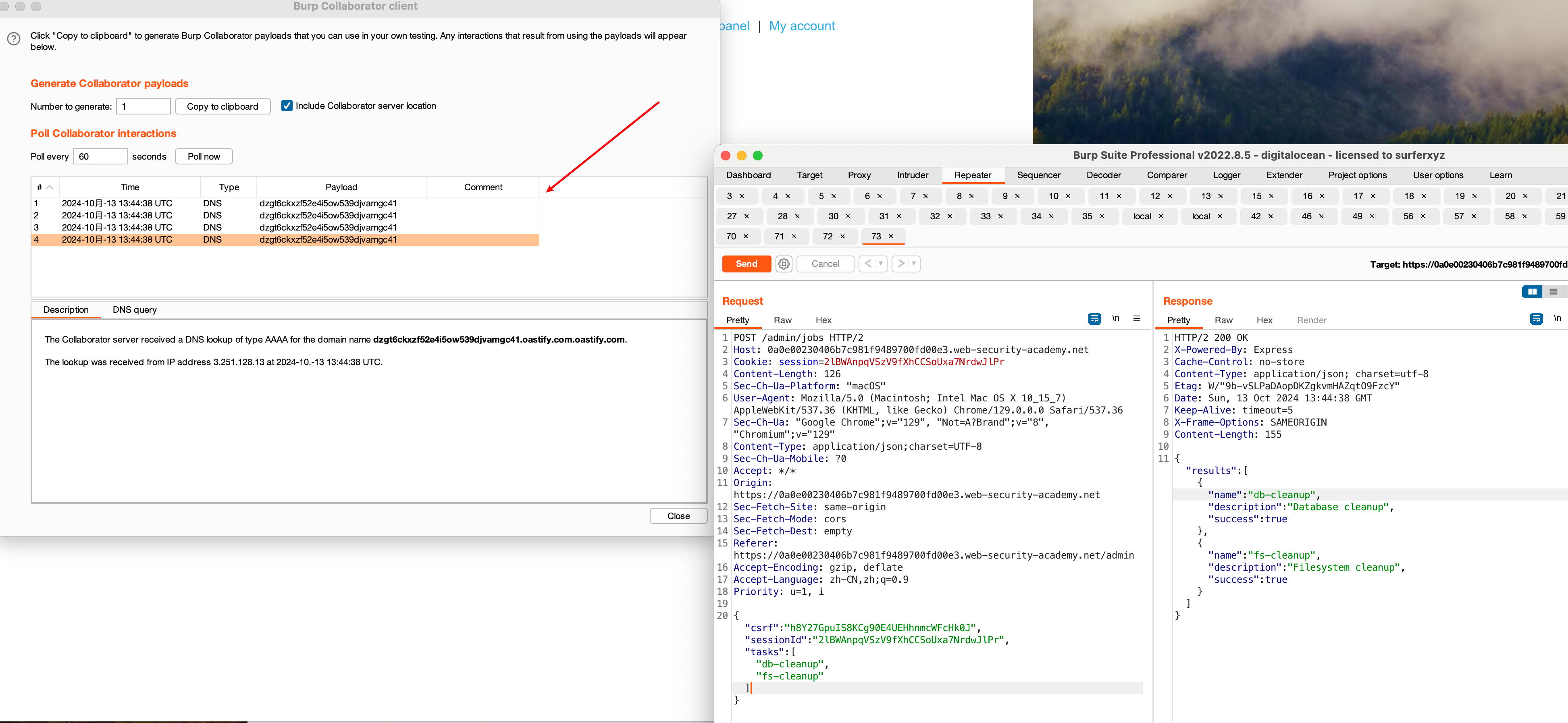 【漏洞学习】JavaScript Prototype Pollution（JavaScript原型污染漏洞） - wh03ver-momo - 博客园