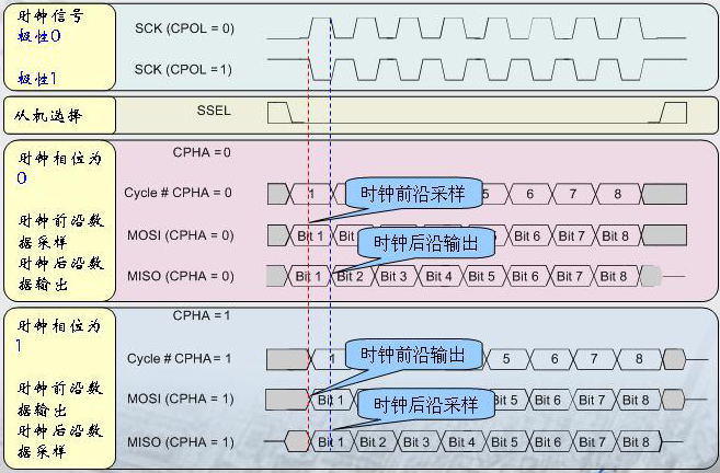 详细解析SPI通信协议(标准4线SPI) - 苍月代表我 - 博客园