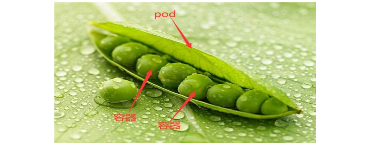 03-pod入门知识讲解 - 于景波 - 博客园