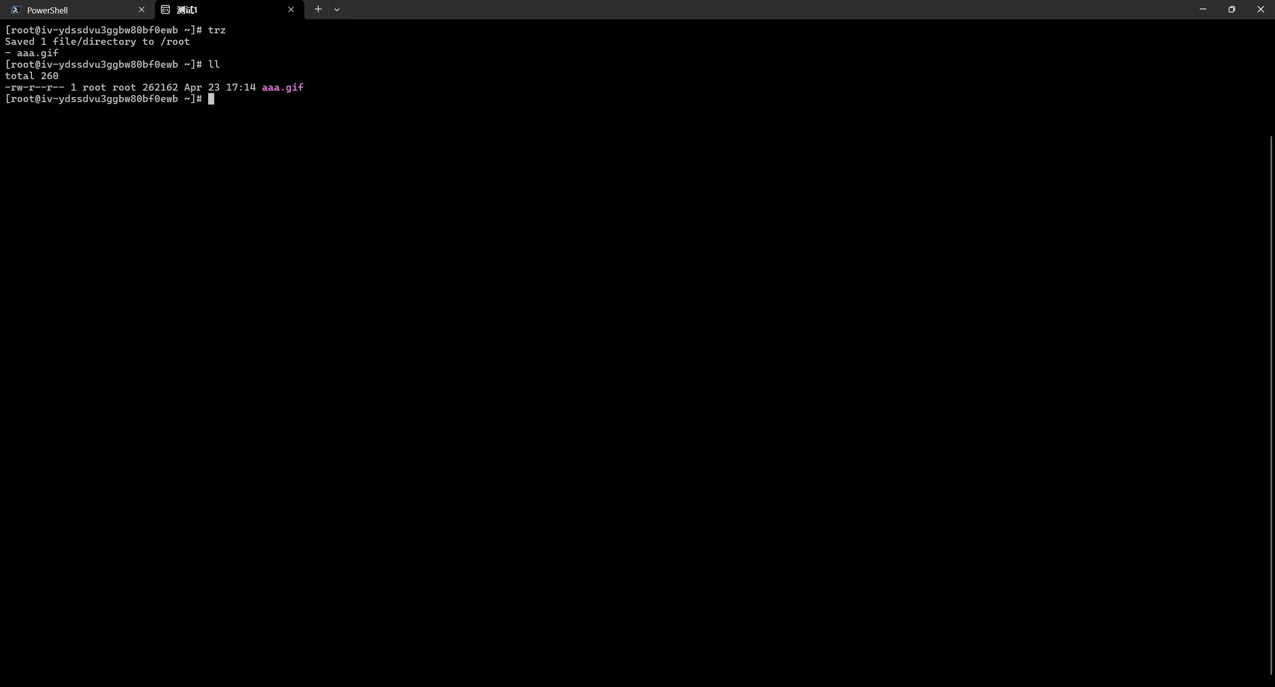 SSH工具的最终解决方案：Openssh+Windows Terminal+PowerShell+Trzsz-ssh+Lrzsz/Trzsz - 阿张Respect - 博客园