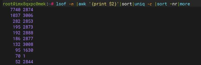 lsof - 列出当前系统已经打开的所有文件 - 91program - 博客园